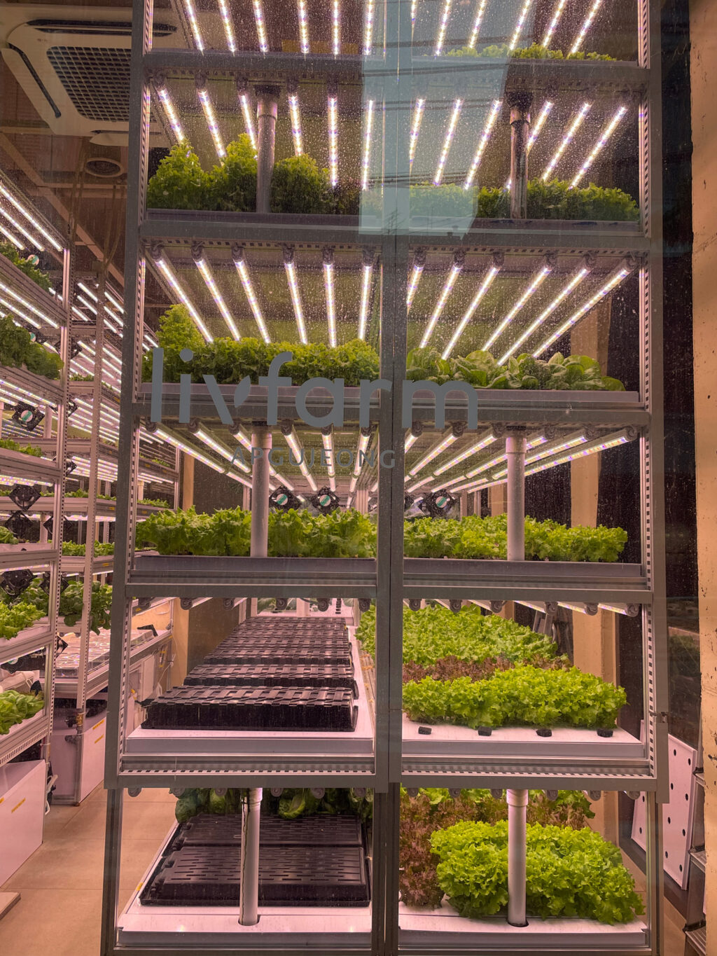 Seoul: „We sell innovation“. LED technology and vertical farming a ...